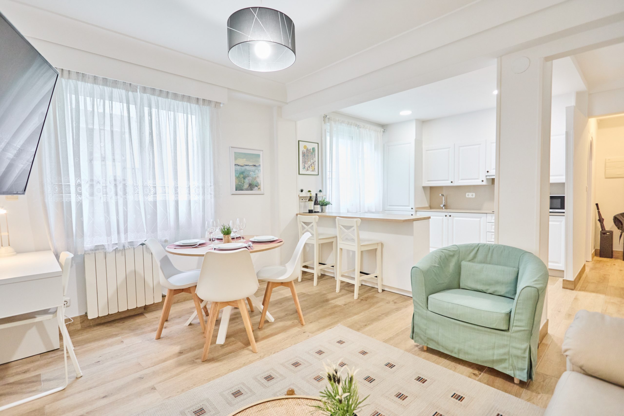 Larroka Apartment - Basque Homes